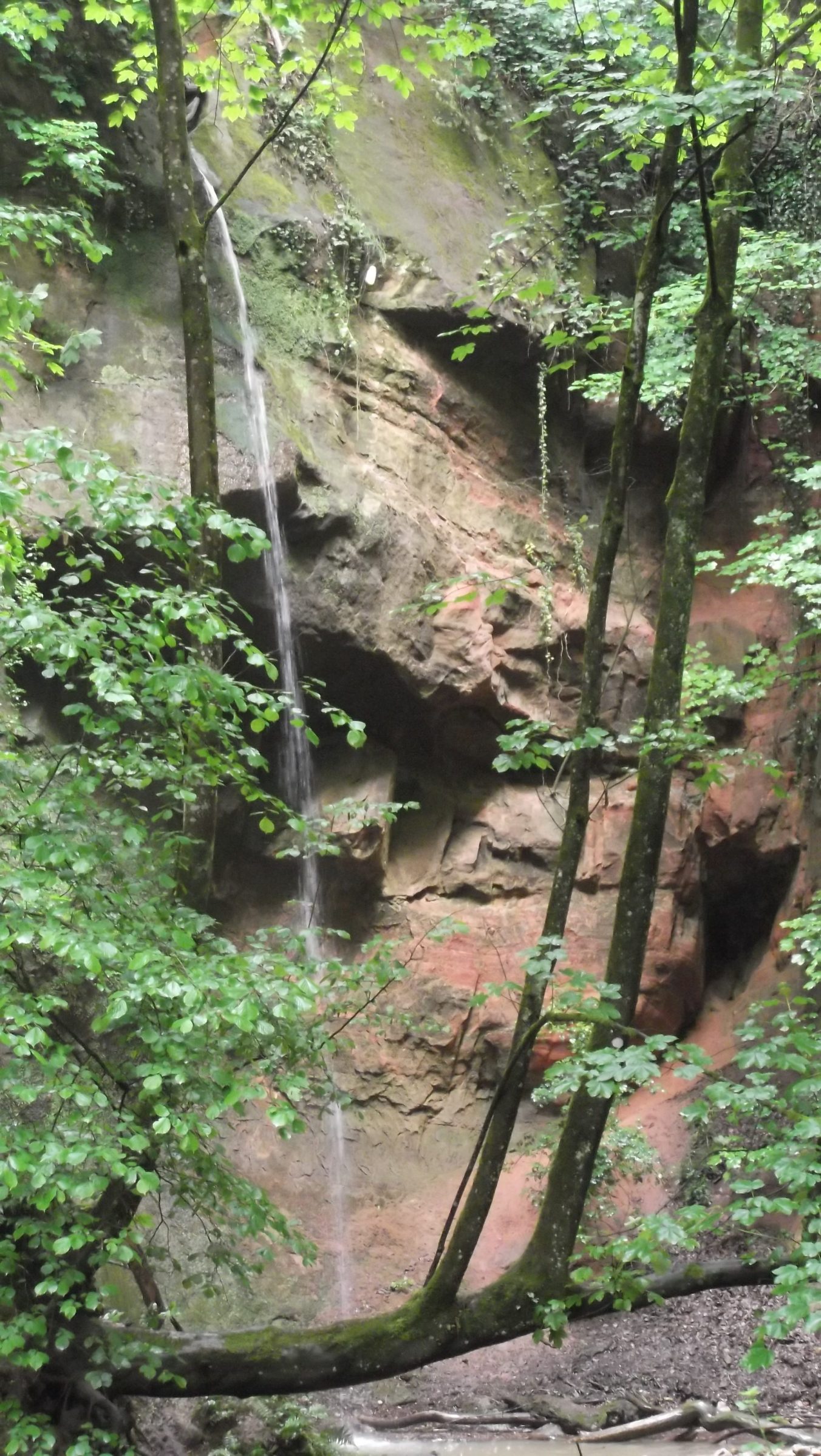 DSCF8204 | Unterwegs im Trierer Land